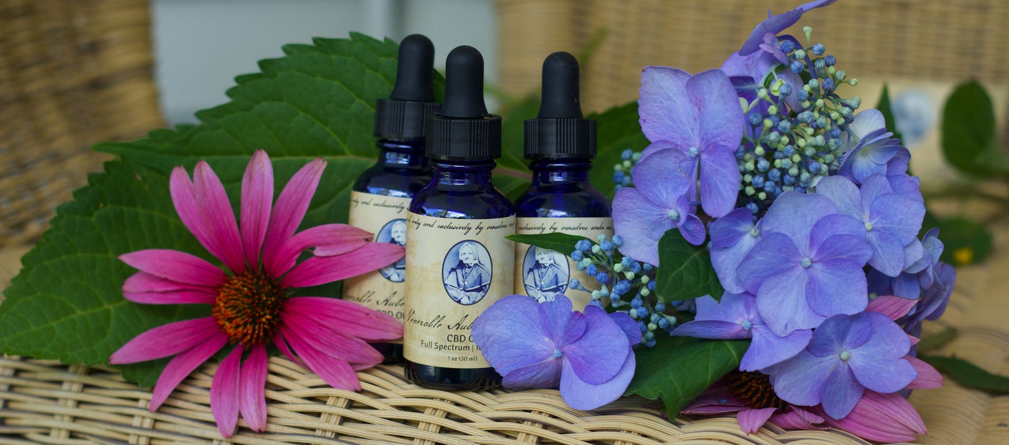 Full Spectrum 500 mg CBD Oil (1 oz) - Venerable Aubert Herbals